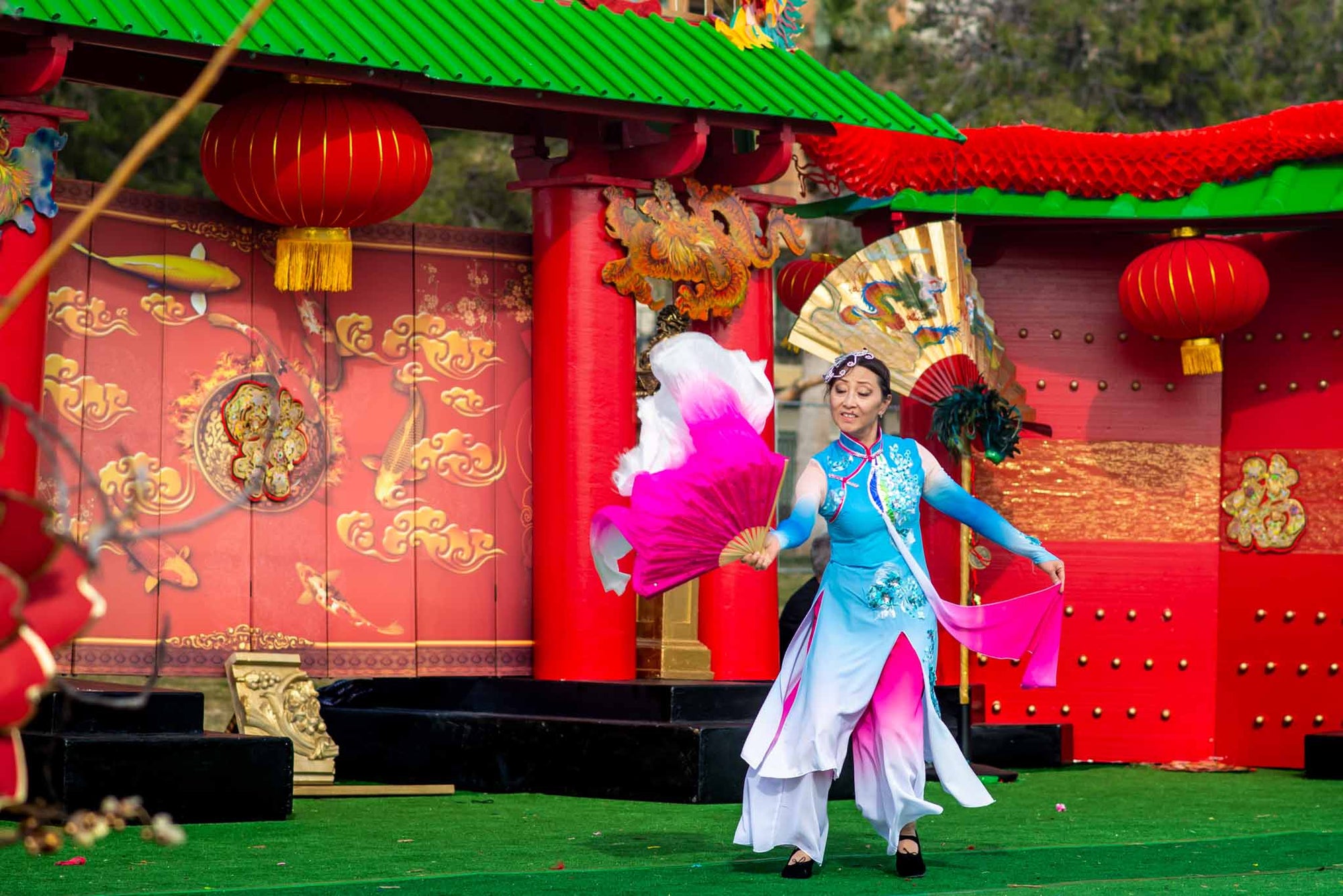 Festival Performance Form – Phoenix Chinese Week