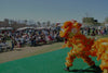 Phoenix Chinese Week | Feb 14-15, 2026 Lunar New Year Festival