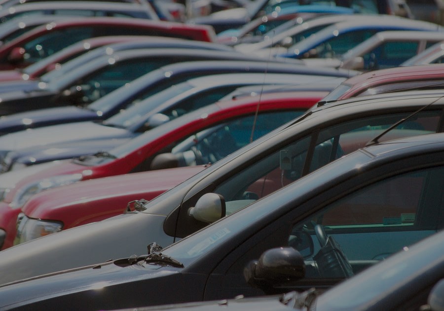 Phoenix Chinese Week | Feb 14-15, 2026 Lunar New Year Festival